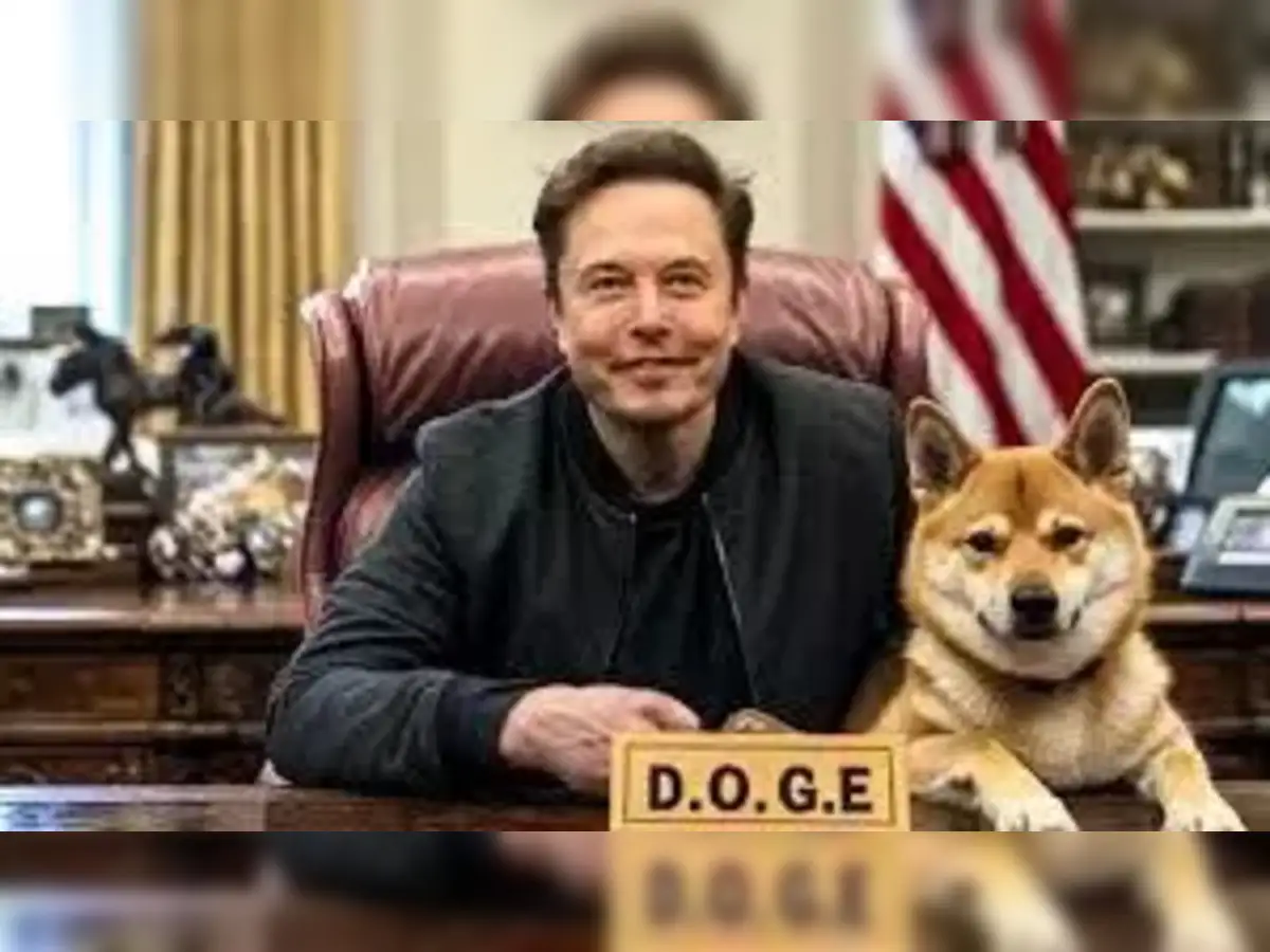 The Algorithmic Axe: Elon Musk's DOGE and the Crippling of AmeriCorps ...